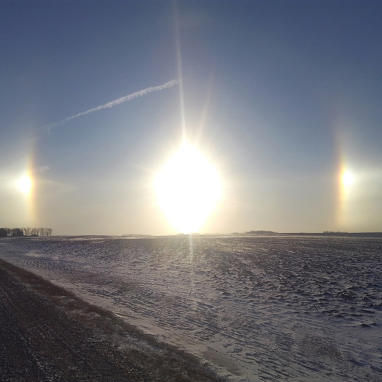 Good day for Sun Dogs | News, Sports, Jobs - The Journal